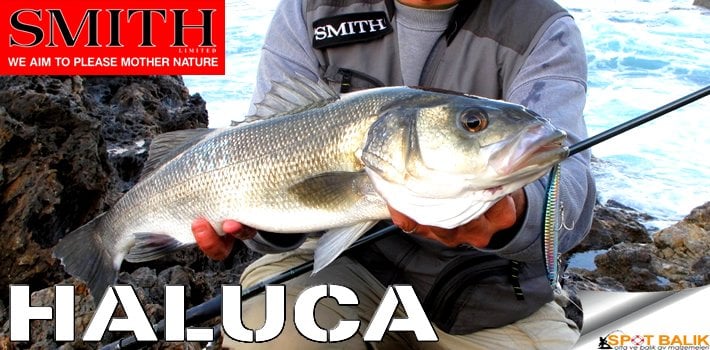 Smith Haluca 145F Maket Balık, Fiyatı 918,71 TL Özellikleri ve Yorumları